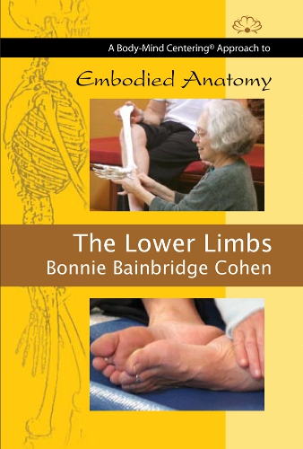 The Lower Limbs The Lower Limbs