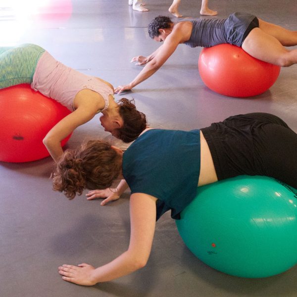 Programs - Body-Mind Centering®