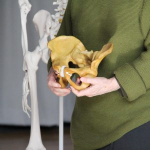 Body-Mind Centering® - An Embodied Approach to Movement, Body and ...