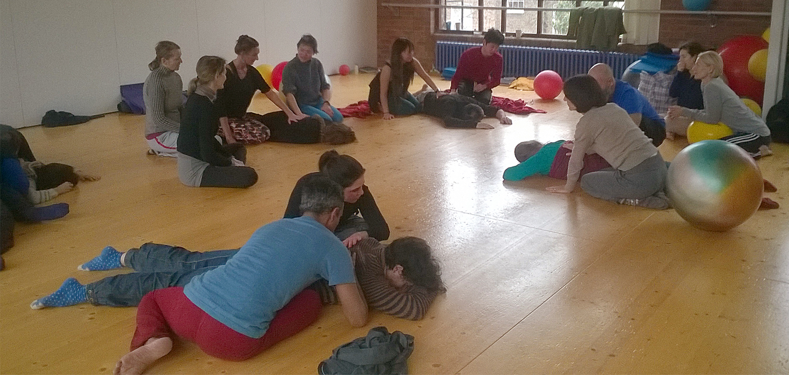 Embody Move - Body-Mind Centering®