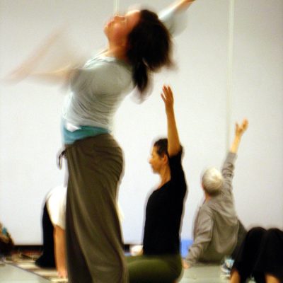 Programs - Body-Mind Centering®