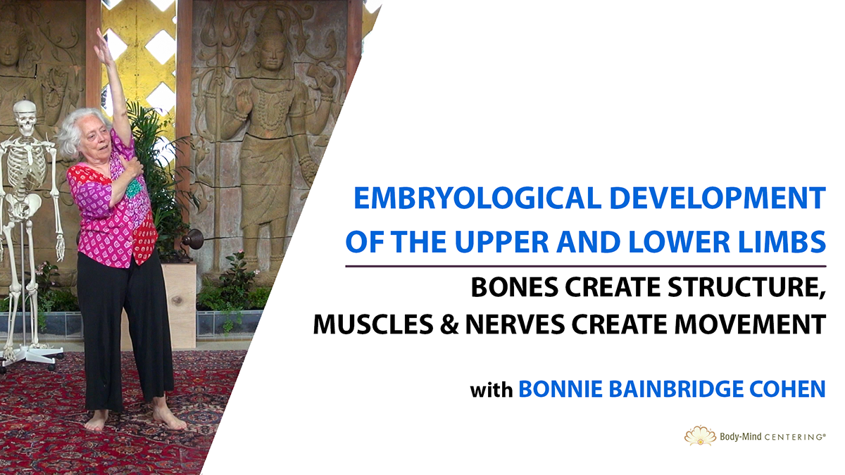 Body-Mind Centering® - An Embodied Approach to Movement, Body and ... Body-Mind Centering® - An Embodied Approach to Movement, Body and ...